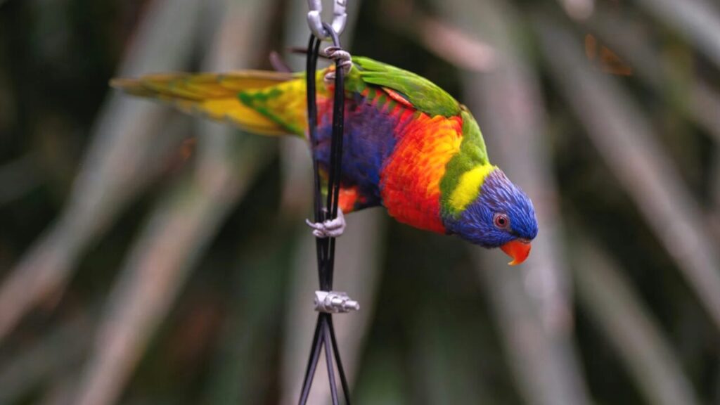 Unchained: Living Free in a World of Financial Stress - Chapel Hill Church